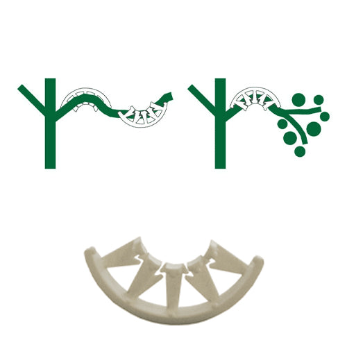 Plant Bends